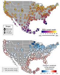 RSV Epidemic Maps [IMAGE] | EurekAlert! Science News Releases