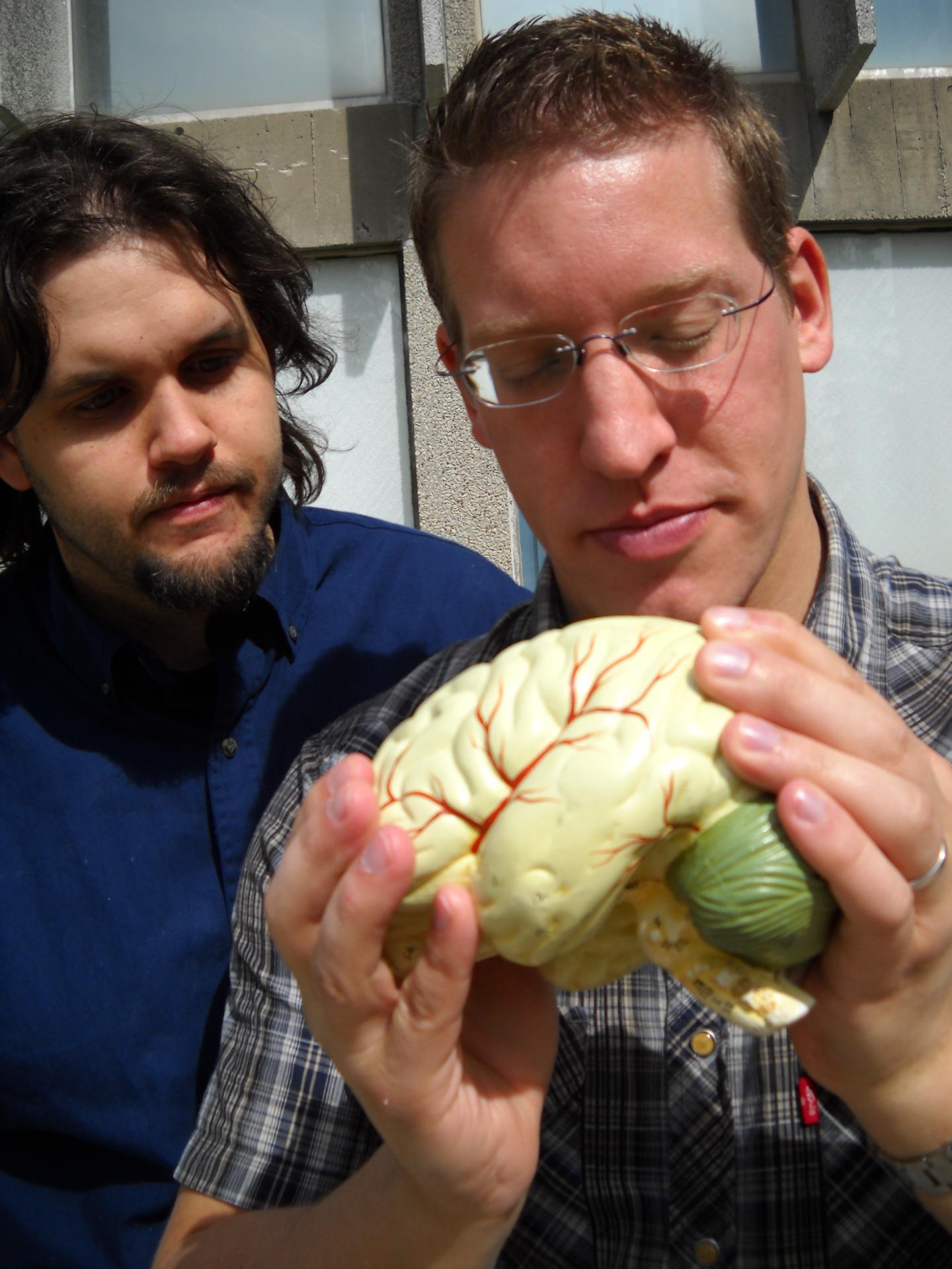 Past experiences affect recognition, memory: | EurekAlert!