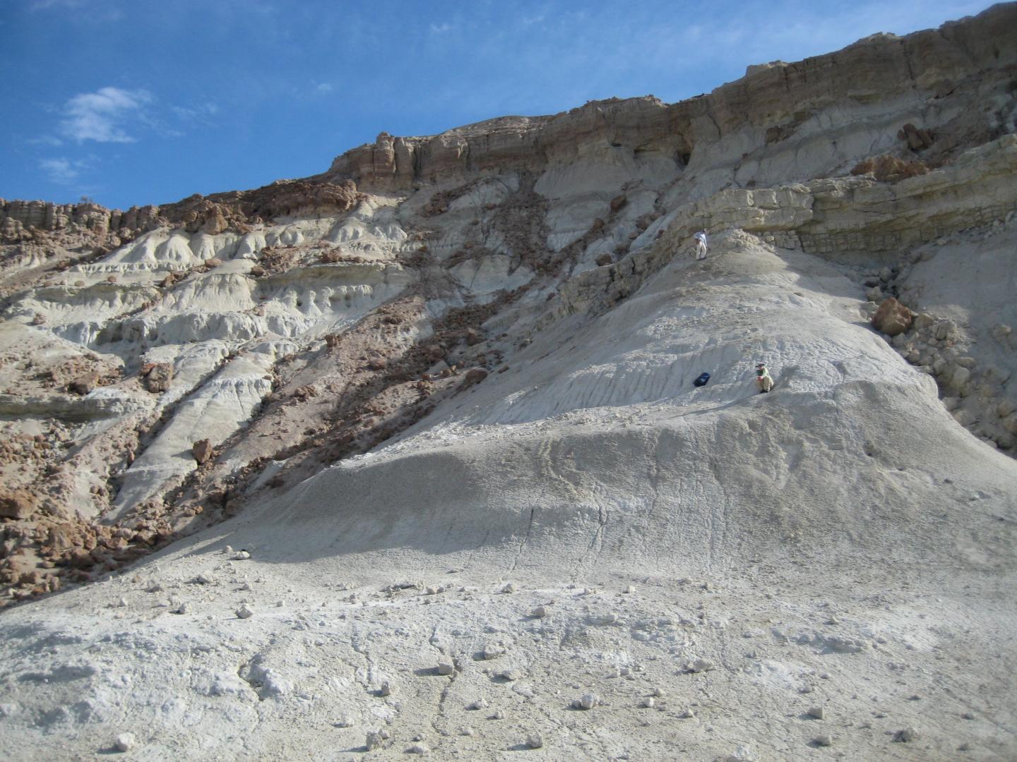 New Vegetation Record Syncs With Cenozoic Cli | EurekAlert!