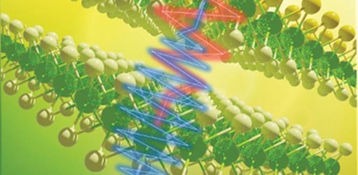 Figure 1 [IMAGE] | EurekAlert! Science News Releases