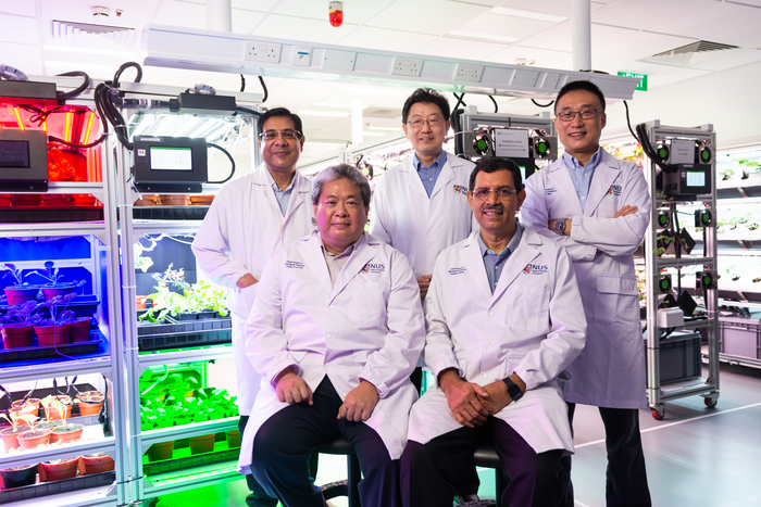 Photo 1 [IMAGE] | EurekAlert! Science News Releases