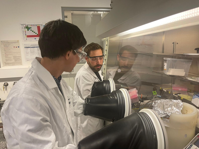 Sebastian Fürer and Philippe H [IMAGE] | EurekAlert! Science News Releases