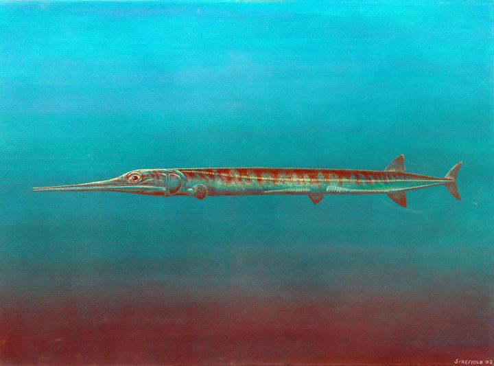 Life Reconstruction of Saur [IMAGE] | EurekAlert! Science News Releases