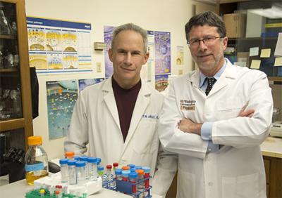 Jeffrey M. Arbeit and David T. [IMAGE] | EurekAlert! Science News Releases
