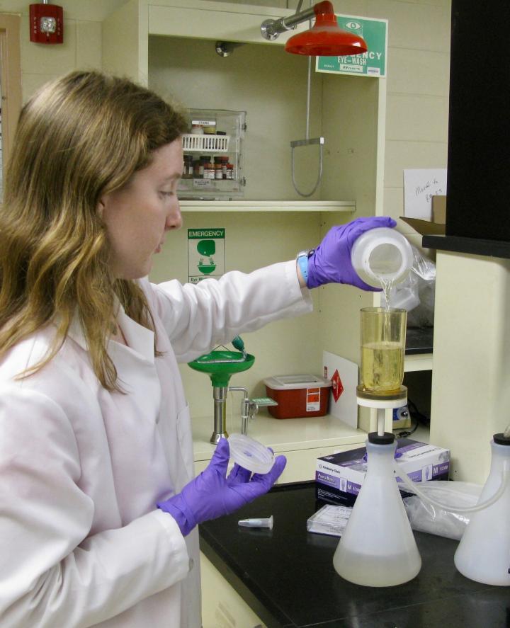 An Early Step in Manatee eDNA [IMAGE] | EurekAlert! Science News Releases