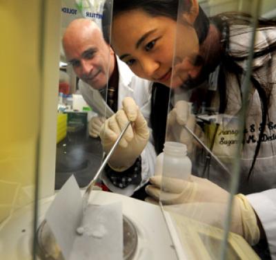 Lipid helps cells find their way by keeping t | EurekAlert!