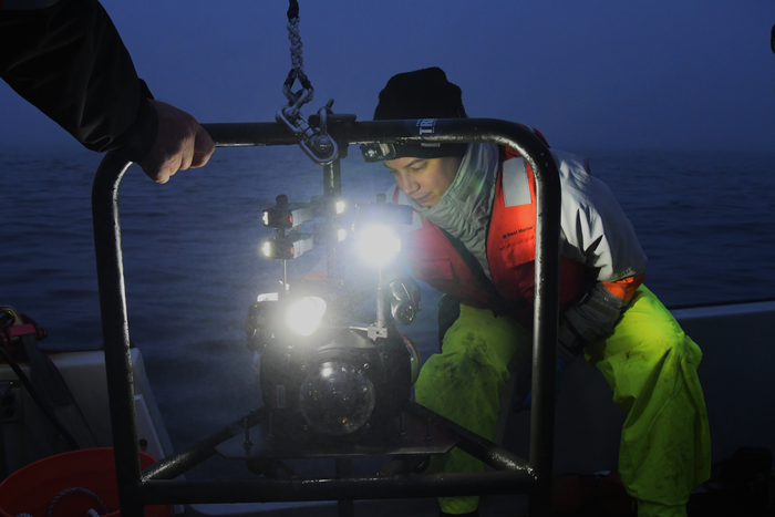 Environmental monitoring of ma [IMAGE] | EurekAlert! Science News Releases