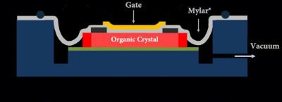 Organic Transistor Cross-Secti [IMAGE] | EurekAlert! Science News Releases