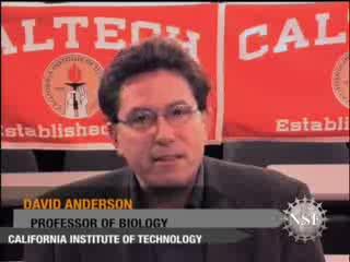 Fruit Flies' Response to Wind Offers New Wind | EurekAlert!