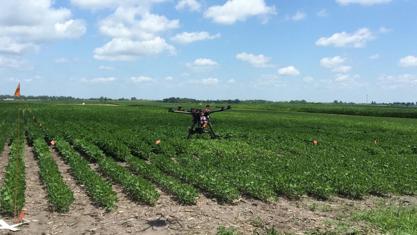 UAV in a Farm Field [IMAGE] | EurekAlert! Science News Releases