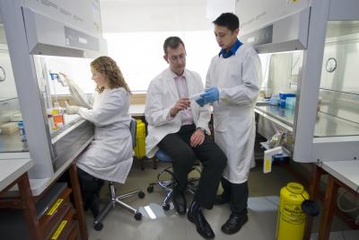 Digging Deeper into Gluten Int [IMAGE] | EurekAlert! Science News Releases