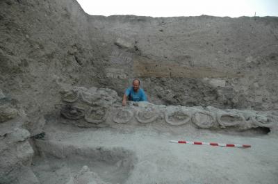 Excavations reveal first beehives in ancient | EurekAlert!