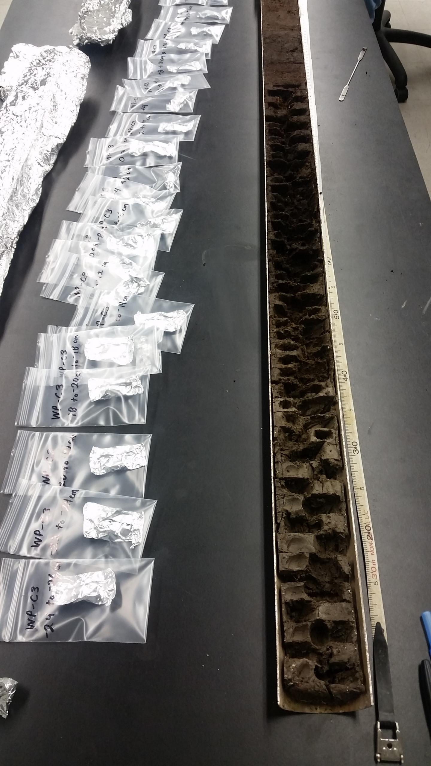 Extracting Samples from the Co [IMAGE] | EurekAlert! Science News Releases