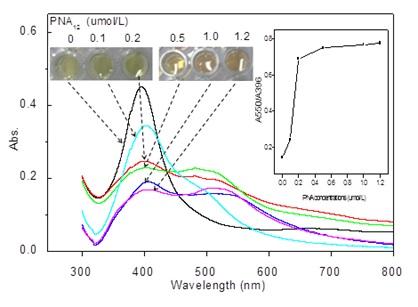Fig. 1: AgNP Solutions [IMAGE] | EurekAlert! Science News Releases