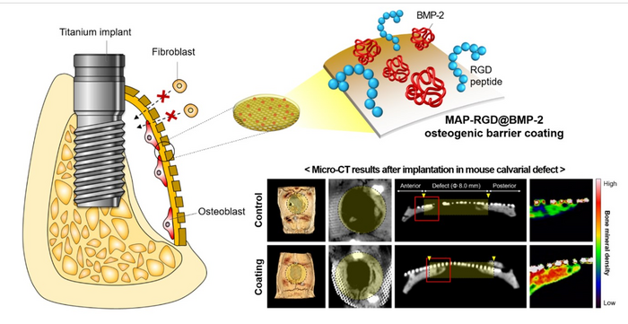 Figure 1 [IMAGE] | EurekAlert! Science News Releases