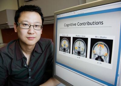 Justice in the brain: Equity and efficiency a | EurekAlert!