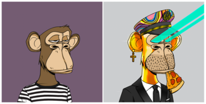 Bored Ape [IMAGE] | EurekAlert! Science News Releases