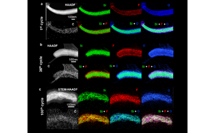 sulin video grab [IMAGE] | EurekAlert! Science News Releases