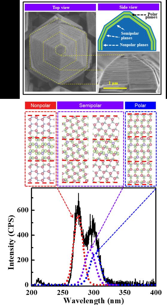 Microrod with Different Orient [IMAGE] | EurekAlert! Science News Releases