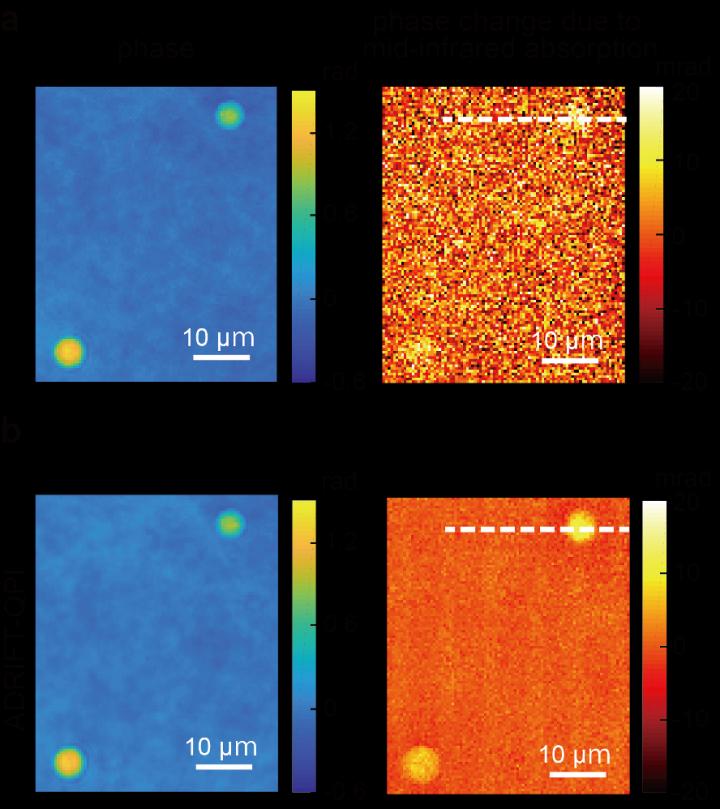 Demonstration of Dynamic-Range [IMAGE] | EurekAlert! Science News Releases