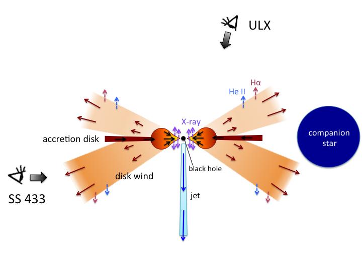 Schematic View of ULXs and SS [IMAGE] | EurekAlert! Science News Releases