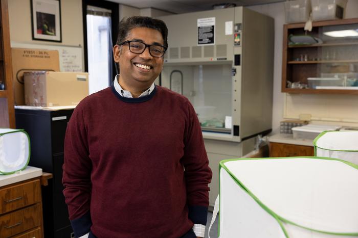 Rupesh Kariyat - Insect Herbiv [IMAGE] | EurekAlert! Science News Releases