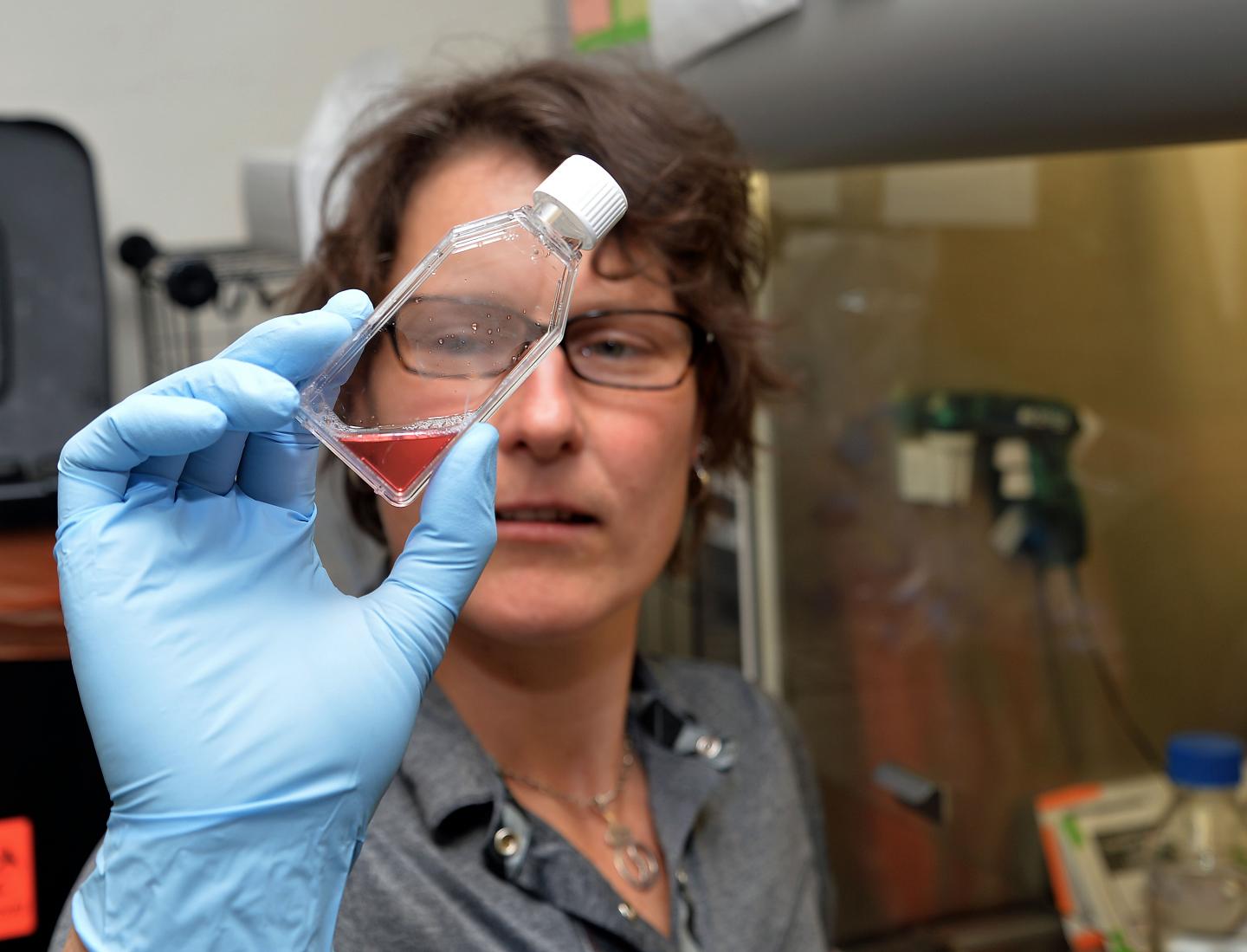 Nadja Spitzer, Marshall Univer [IMAGE] | EurekAlert! Science News Releases