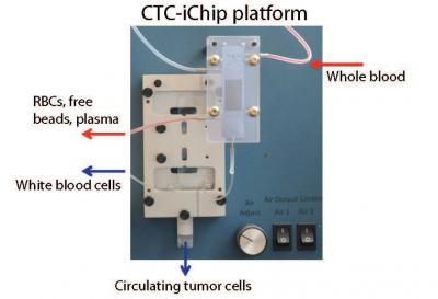 CTC-iChip [IMAGE] | EurekAlert! Science News Releases