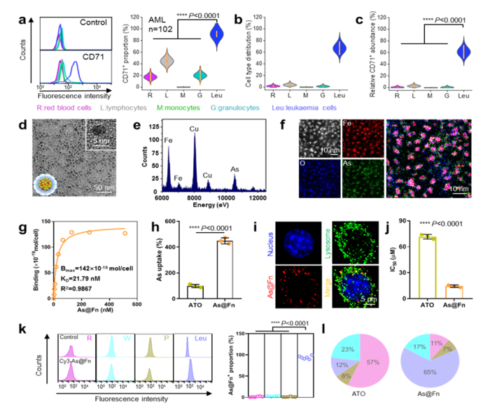 CD71 expression on leukemia ce [IMAGE] | EurekAlert! Science News Releases