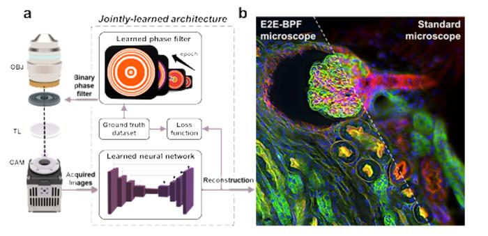 E2E-BPF microscope: Extended depth-of-field m | EurekAlert!