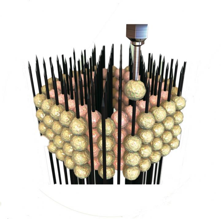 Microneedle Array [IMAGE] | EurekAlert! Science News Releases