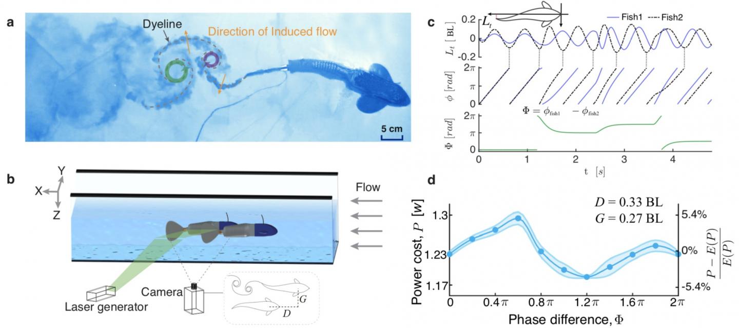 Figure 2 [IMAGE] | EurekAlert! Science News Releases