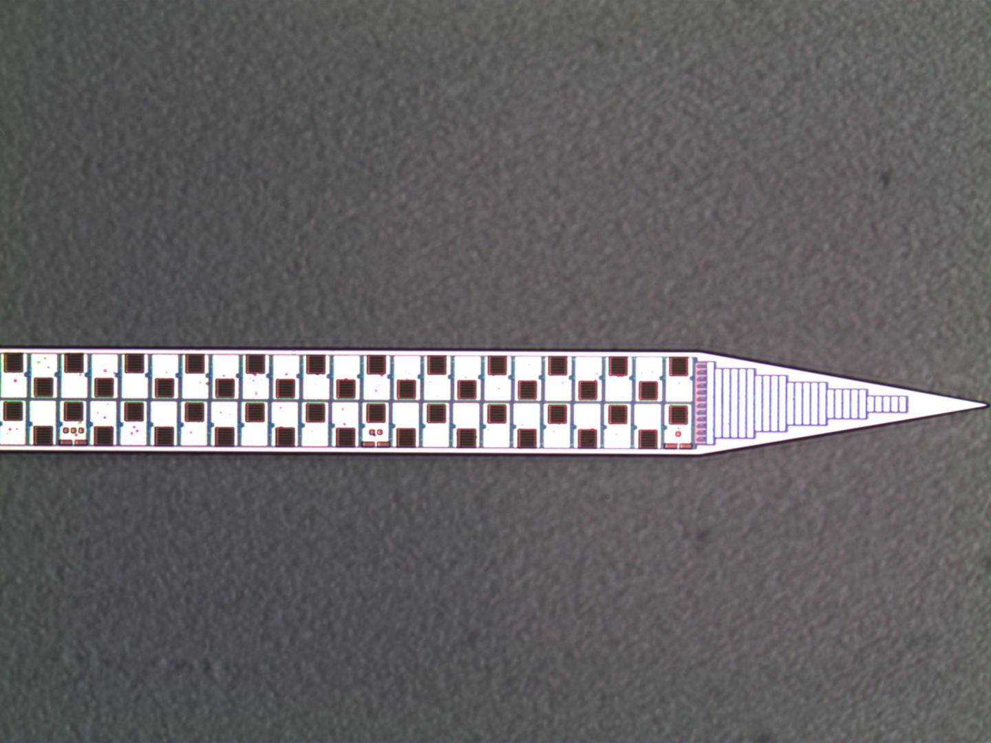 Neuropixels Probe 2 [IMAGE] | EurekAlert! Science News Releases