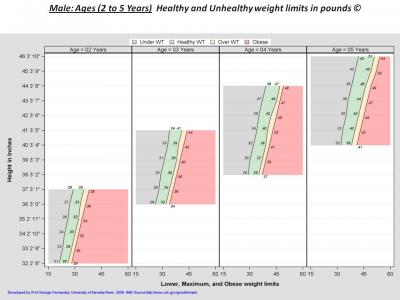 Child Weight Screen Tool [IMAGE] | EurekAlert! Science News Releases