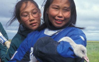 Alaska Native People [IMAGE] | EurekAlert! Science News Releases