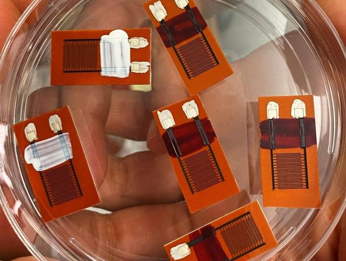 Soil sensors [IMAGE] | EurekAlert! Science News Releases
