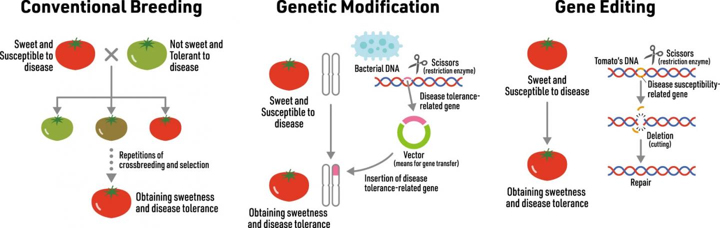 Technologies Today [IMAGE] | EurekAlert! Science News Releases