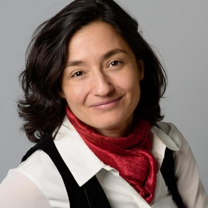 Prof. Dr. Maria Antonietta Loi [IMAGE] | EurekAlert! Science News Releases