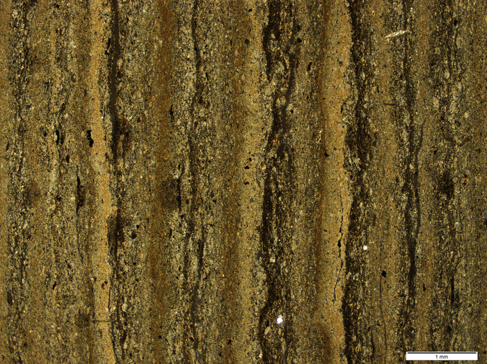Layers in Lake Sediment [IMAGE] | EurekAlert! Science News Releases