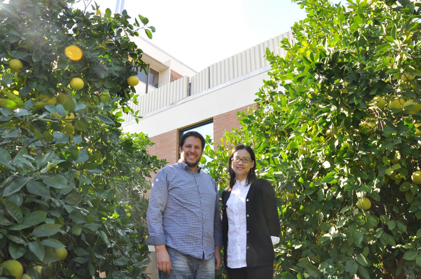 Georgios Vidalkakis and Wenbo [IMAGE] | EurekAlert! Science News Releases