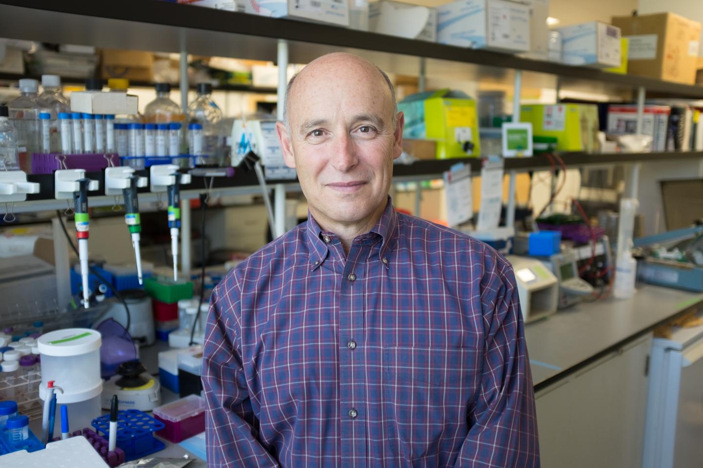 Mark Mercola, Sanford-Burnham [IMAGE] | EurekAlert! Science News Releases