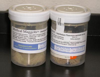 Medical Maggots™ by Monarch La [IMAGE] | EurekAlert! Science News Releases