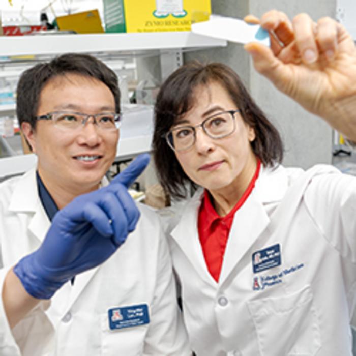 Dr. Kalin and Ying-Wei Lan, Ph [IMAGE] | EurekAlert! Science News Releases