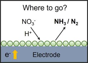 Where to go with nitrate electroreduction rea | EurekAlert!