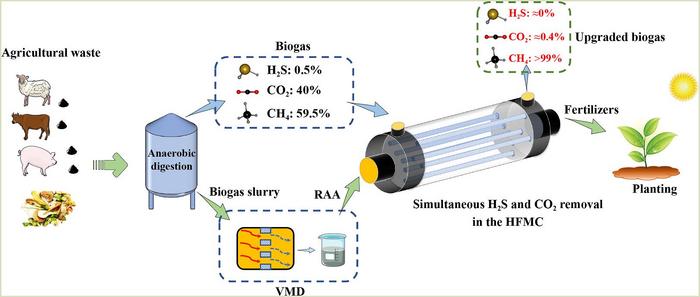 graphical abstract [IMAGE] | EurekAlert! Science News Releases