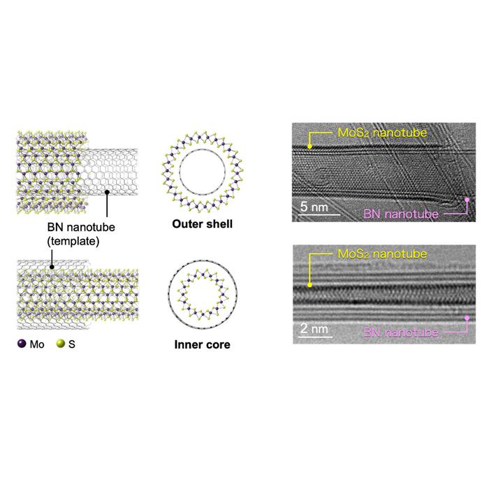 Move over carbon, the nanotube family just go | EurekAlert!