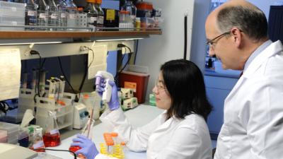 Diabetes and Obesity Research [IMAGE] | EurekAlert! Science News Releases