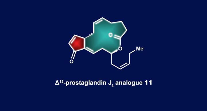 Schematic of Macrolactone 11 [IMAGE] | EurekAlert! Science News Releases