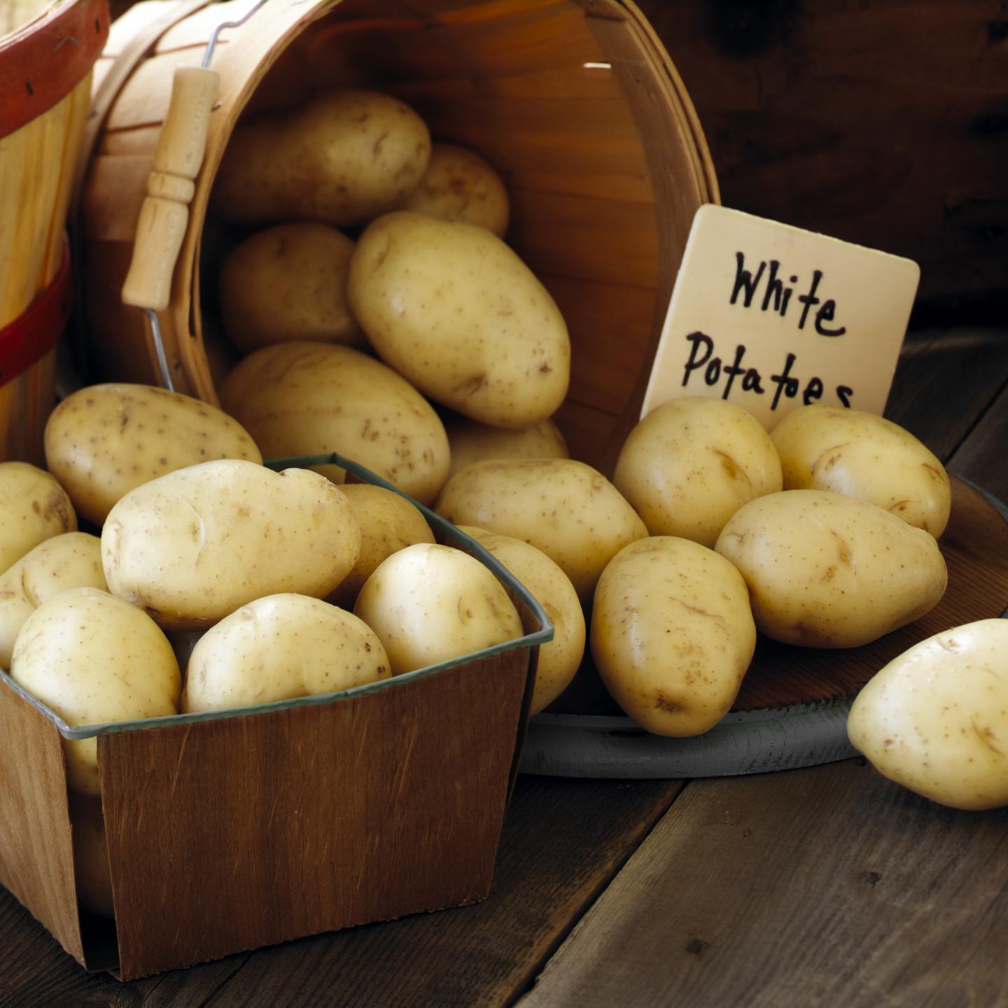 White Potatoes [IMAGE] | EurekAlert! Science News Releases