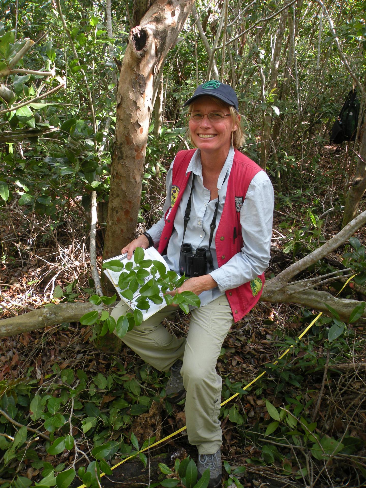 Janet Franklin, University of [IMAGE] | EurekAlert! Science News Releases